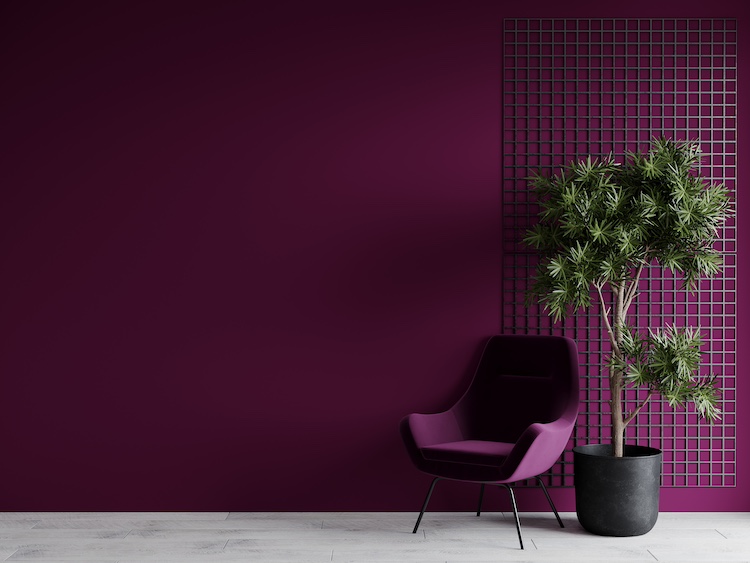 Cómo decorar tu casa con color ciruela: tips - Indomio News