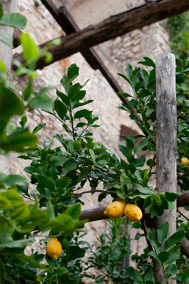 ¿Qué ver en Limone sul Garda y qué hacer?