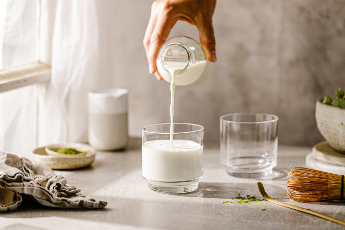 ¿La leche caducada es buena para las plantas? - Indomio News
